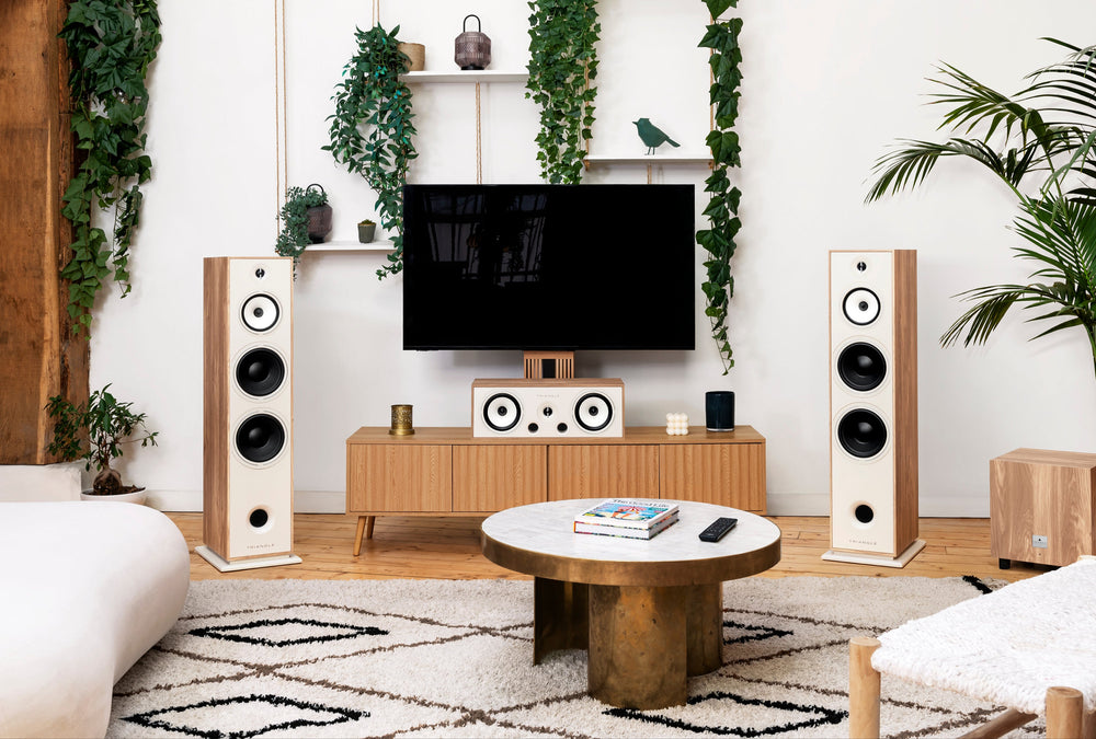 Enceinte Voie Centrale - Borea BRC2