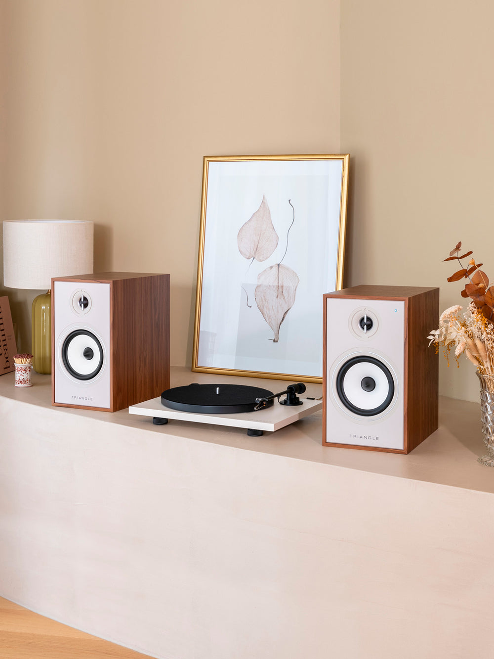 TRIANGLE HIFI - French High-End Speakers Manufacturer